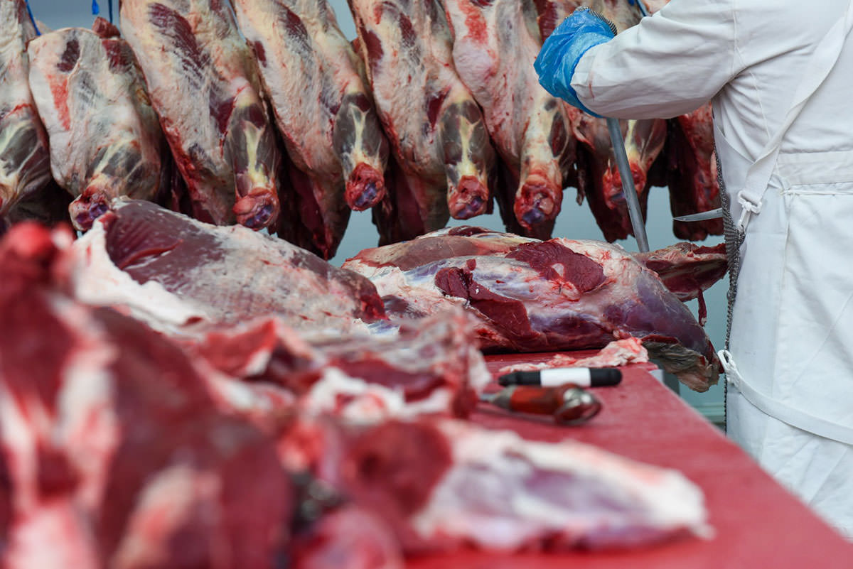 Denezis Meat | Meat Processing & Marketing, Argolis, Greece